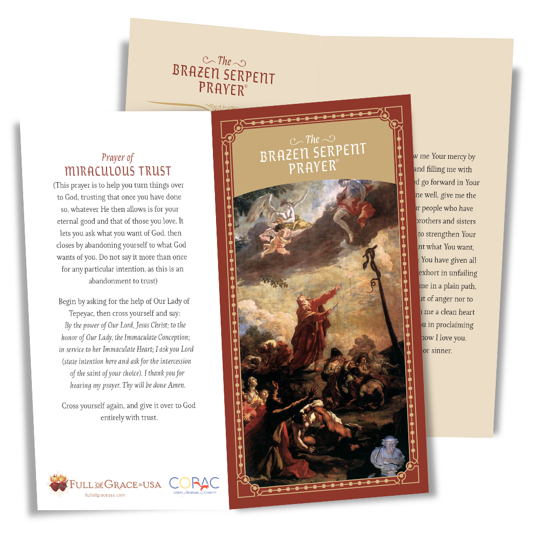 The Brazen Serpent Prayer with Miraculous Medal Holy Card – The Retro
